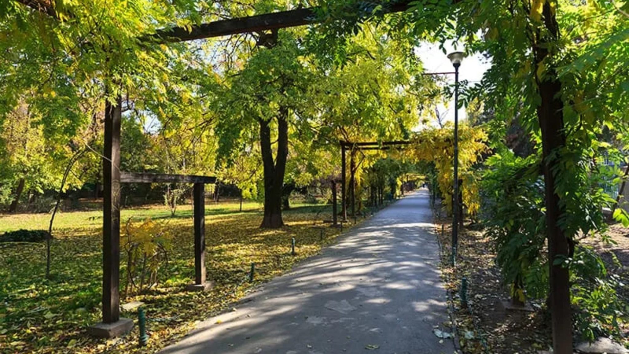 Building Community via PUBLIC PARKS PROJECT - Love Howick